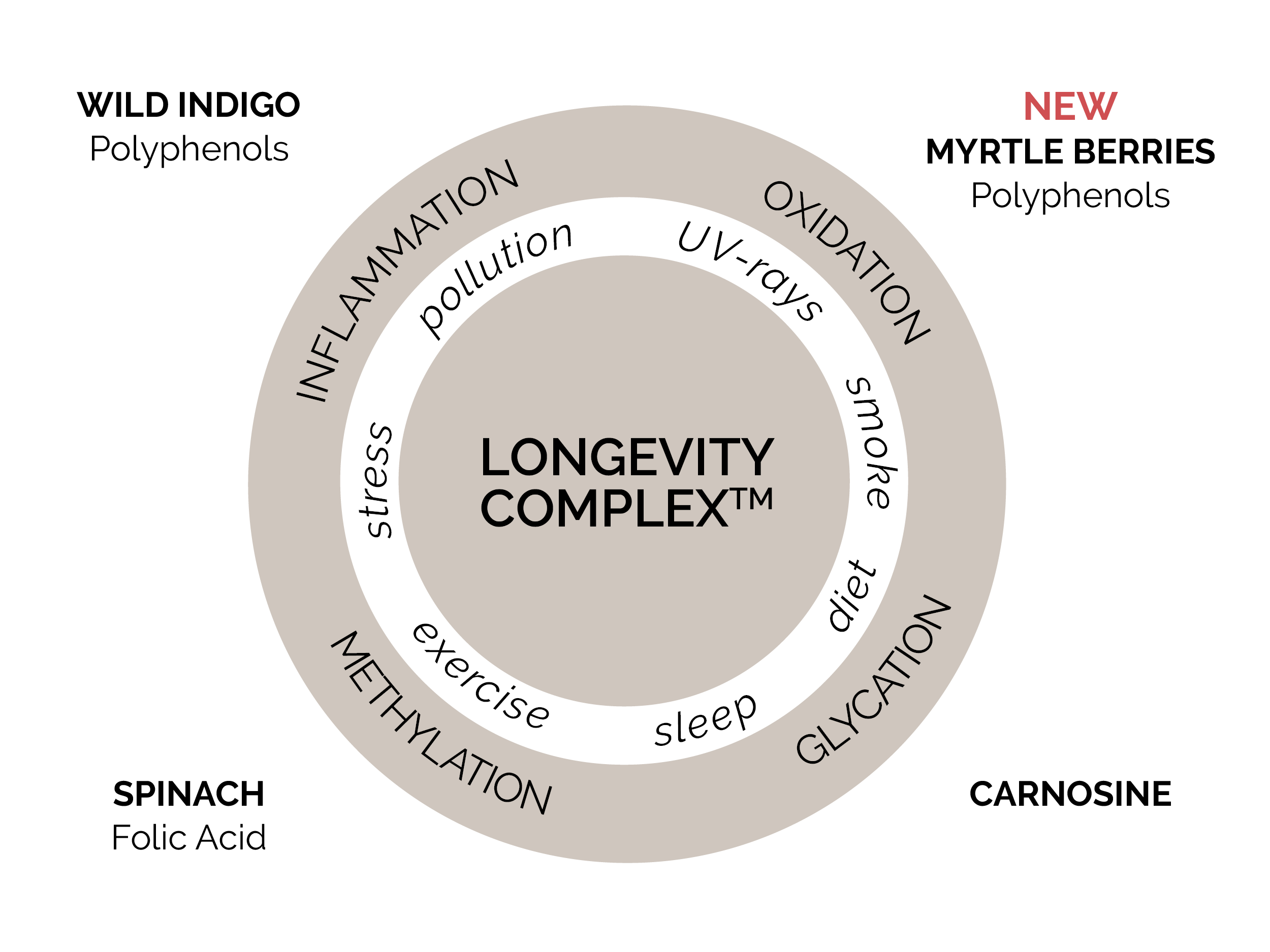 Understanding the Exposome and how it affects skin aging and skin heal - Comfort Zone International